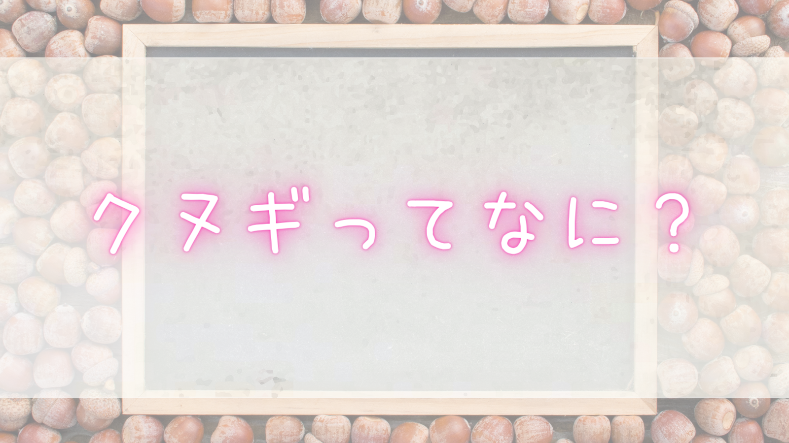 くぬぎの実は食べられるの知っていましたか？！ | キャンビー